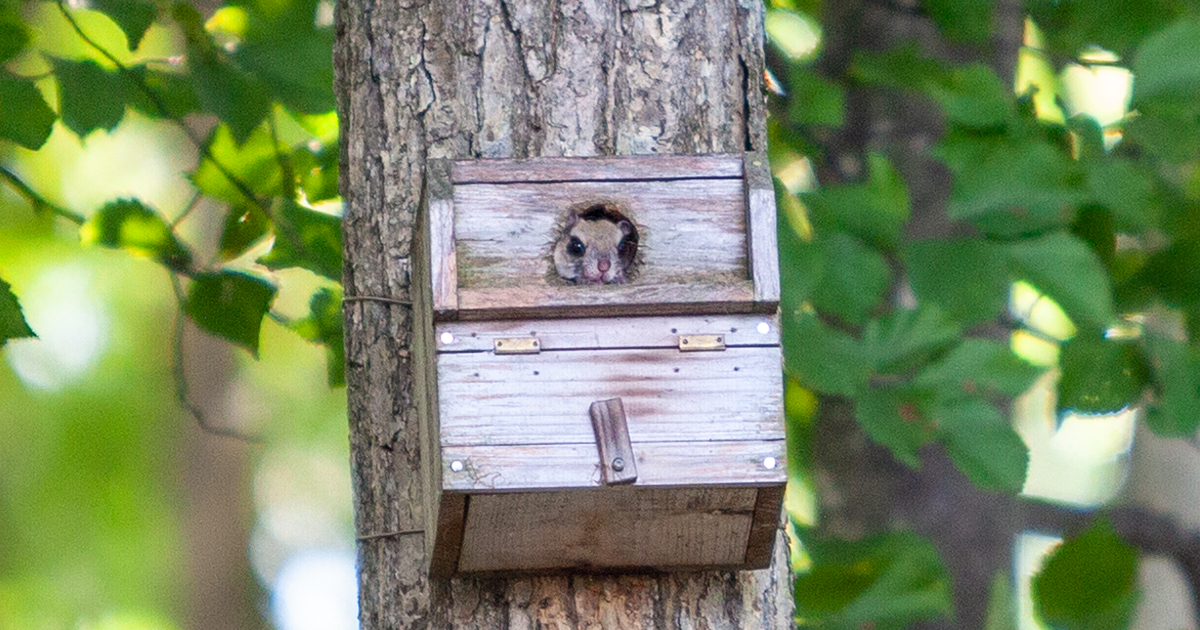 ステイプラン – KONON cafe & stay